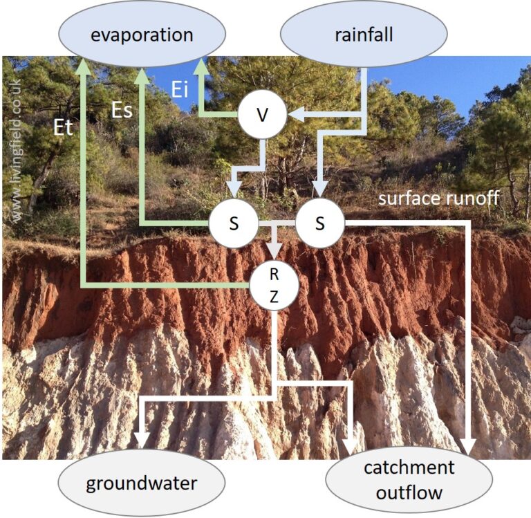 Water Cycle – Living Field